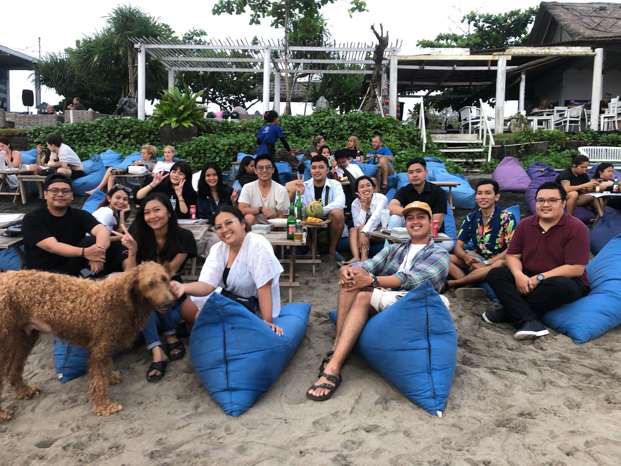 Learn Data Analytics Online | RevoU